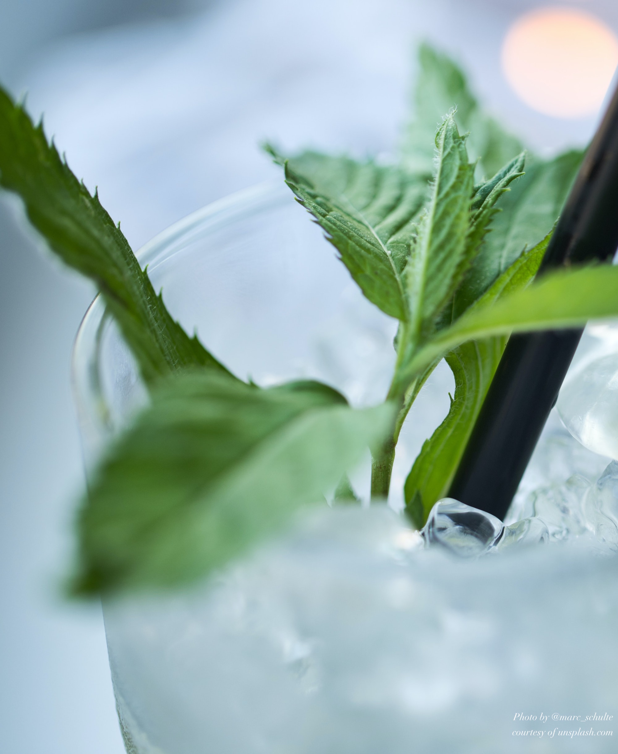 Absinthe Frappé Cocktail Recipe — THE SHAKEN COCKTAIL