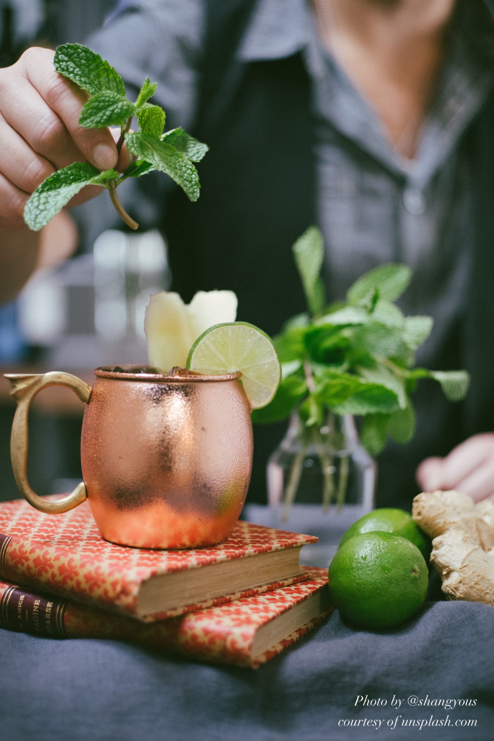 Moscow Mule Cocktail Recipe — THE SHAKEN COCKTAIL