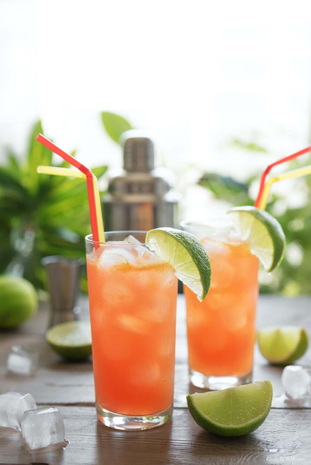 Lemon-Lime & Bitters (LLB) Cocktail Recipe — THE SHAKEN COCKTAIL