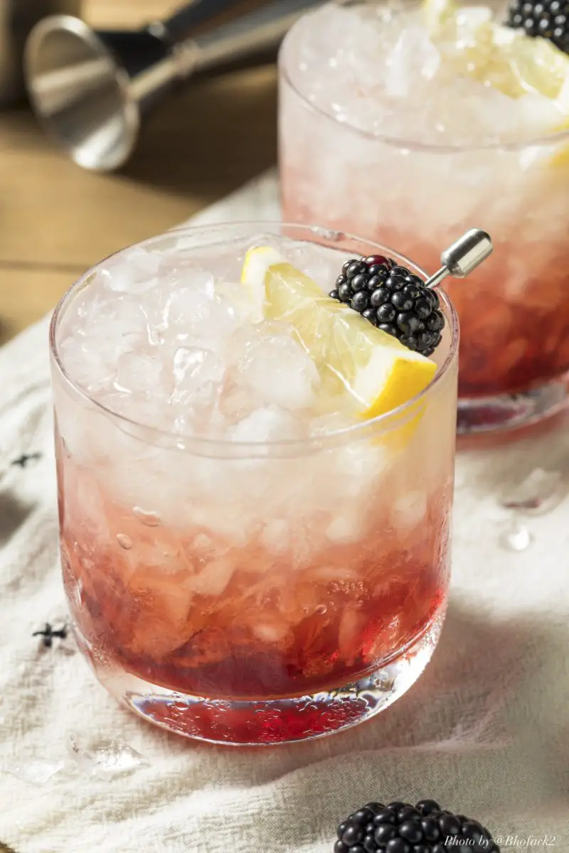 Bramble Cocktail Recipe — THE SHAKEN COCKTAIL