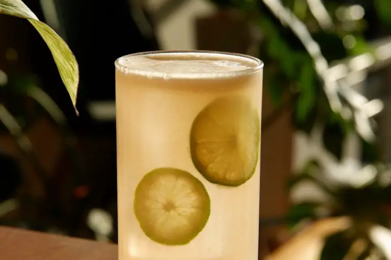 The 9 Best No & Low Sugar Cocktails — THE SHAKEN COCKTAIL