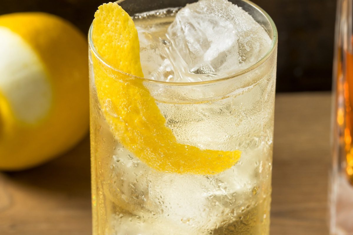 Get More For Less: Explore The World Of Long Drinks! — THE SHAKEN COCKTAIL