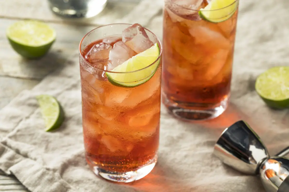 Get More For Less: Explore The World Of Long Drinks! — THE SHAKEN COCKTAIL